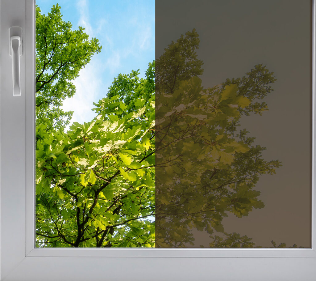 Tinted and Privacy Glass – Western Window